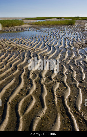 Tidal Basin Cape Cod Bay Massachusetts Stock Photo - Alamy