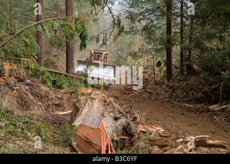 Fort Bragg California Logging of redwoods in northern California A ...