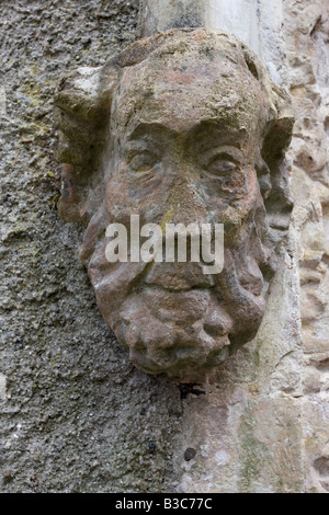 Gargoyle detail St Mary and St Gabriel, Stoke Gabriel, Devon Stock ...