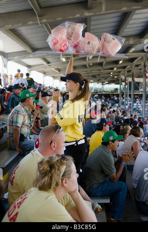 cotton candy vendor at baseball game Stock Photo - Alamy