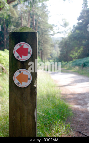 Forestry Commission waymarker along the Simonside Ridge Walk ...