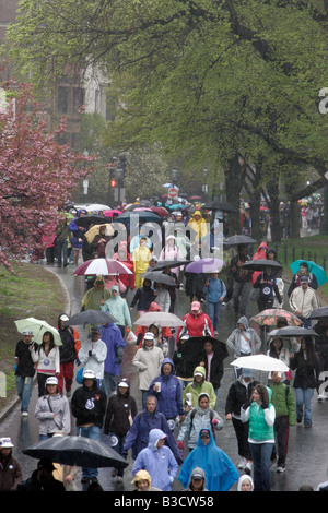 Charity walk for hunger Boston Massachusetts Stock Photo - Alamy