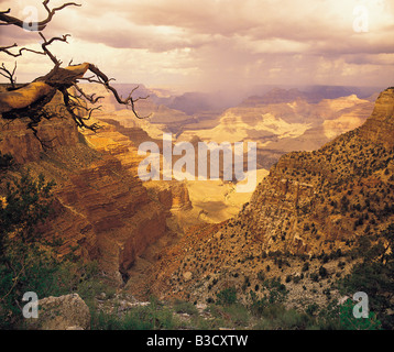 Grand Canyon Ravine Stock Photo - Alamy