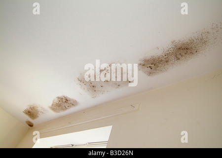 Squalid social housing in Tower Hamlets London England Stock Photo - Alamy