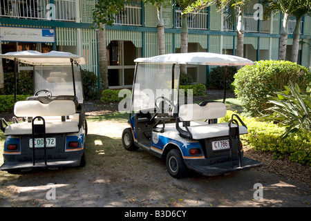 Two golf carts are parked in a grassy field. The carts are blue and ...