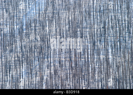 A fire burned area in Banff National park Stock Photo - Alamy