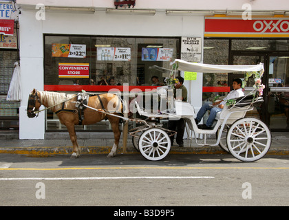 Horse and Carriage Taxi, Merida, Yucatan Peninsular, Mexico Stock Photo ...