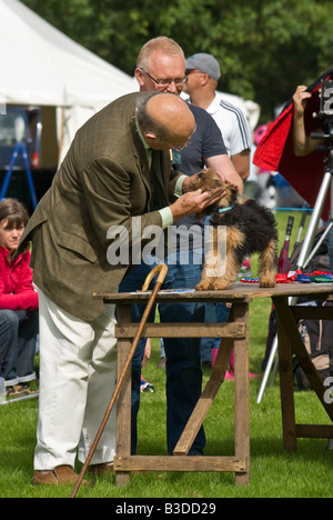 Dog show judge at Grasmere show Stock Photo - Alamy