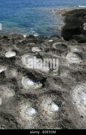 old roman salt farm on ventotene island, italy Stock Photo - Alamy