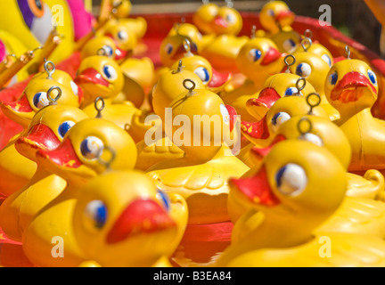 Floating toy ducks at the Hook-a-duck sideshow stall at the funfair ...