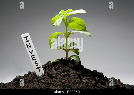 Word writing text Invest In Yourself. Business photo showcasing Improve ...