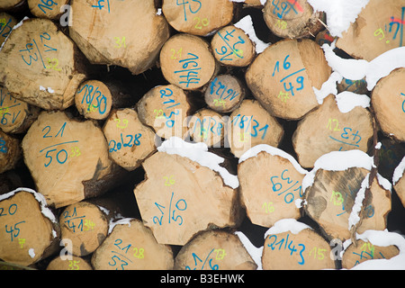 Logs with markings Stock Photo - Alamy