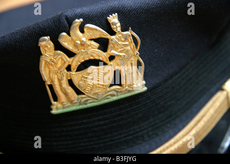 nypd police officer badge and crest New York City USA Stock Photo - Alamy