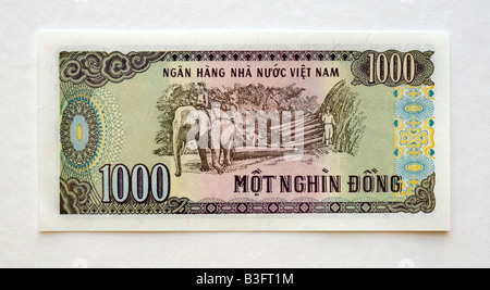 1000 dong bank note of Vietnam. Dong is the national currency of ...