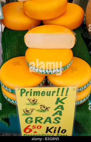 Dutch cheese, Market, Rotterdam, Netherlands Stock Photo - Alamy