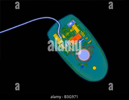 x-ray of a computer mouse showing its internal structure Stock Photo ...
