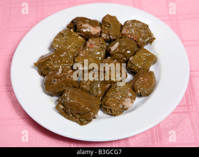 Stuffed vine leaves with rice Stock Photo - Alamy