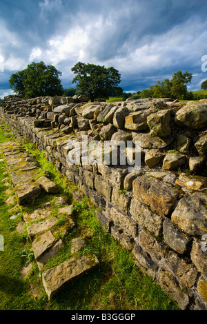 England Cumbria Gilsland Hadrians Wall path running alongside Hadrians ...