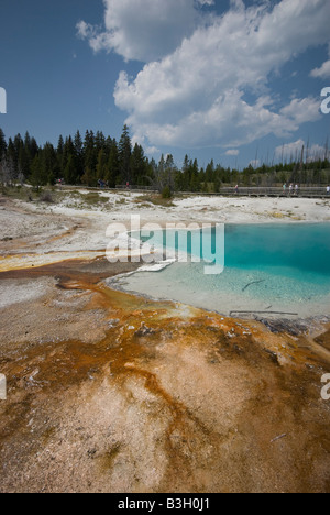 West Thumb geyser basin, a volcanic spring, steam rising from the water ...