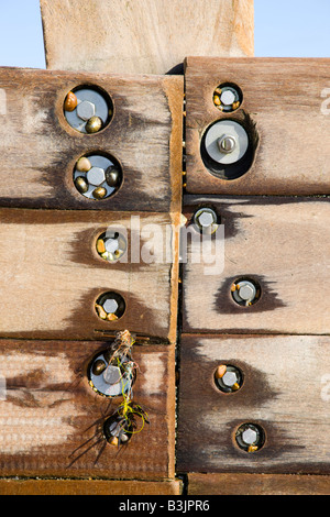 Wooden sea defence structures on the beach in Kingsdown Kent Stock ...