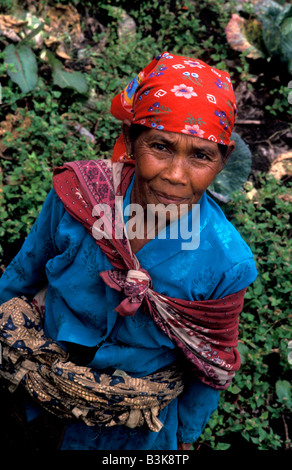 tenggerese farm near mount bromo java indonesia Stock Photo - Alamy