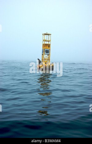 shipping lane marker buoy in the Solent at Calshot Stock Photo - Alamy