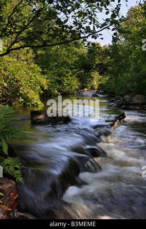 Small is beautiful, as in these tumbling woodland streams in a North ...