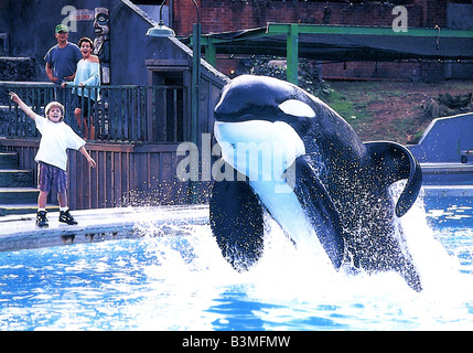 FREE WILLY, killer whale, 1993. © Warner Bros / courtesy Everett ...