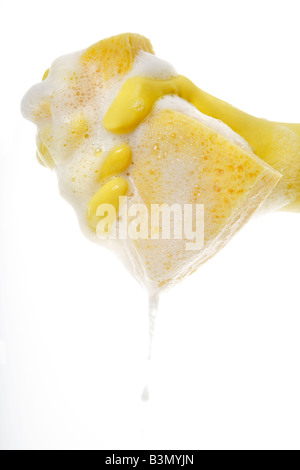 Hand wringing a sponge Stock Photo - Alamy