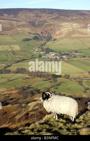 On top of Edale in the Peak District Stock Photo - Alamy
