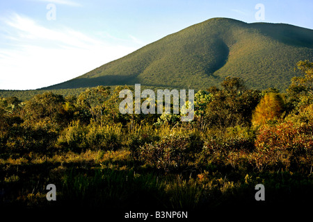 Early morning landscape, Stirling Range, Southwest Australia Stock ...
