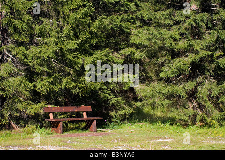 Rest in Nature. Park , wooden bench Stock Photo - Alamy
