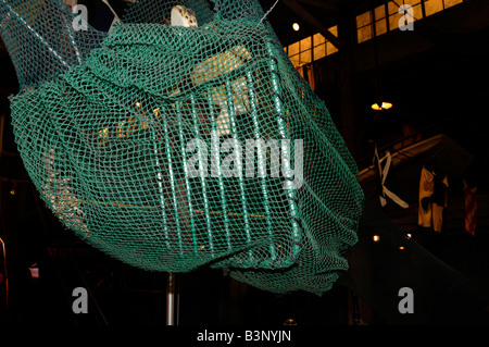 Turtle excluder TED trawl net display Stock Photo - Alamy