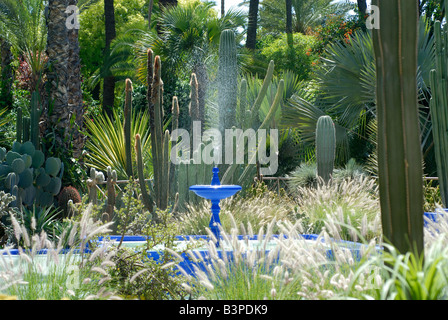 Plants and water in the Majorelle Gardens in Marrakech / MArakesh ...