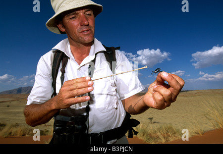 Man holding Tok Tokkie Beetle, Tok Tokkie Trail, NamibRand Nature ...