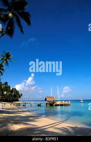 The Iconic Jetty at the Pigeon Point Heritage Park located on the west ...