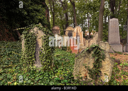 The Old Jewish cemetery at Kolin one of the oldest landmarks of that ...