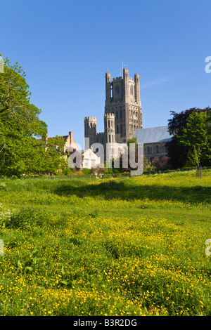 Ely Cathedral, Cambridgeshire, England Stock Photo - Alamy