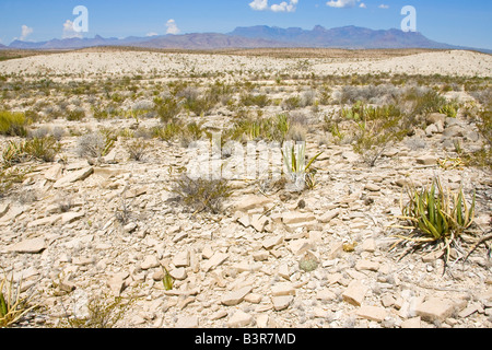 west Texas desert scenery Stock Photo - Alamy