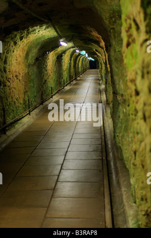 Stevns fort - Denmark Stock Photo - Alamy