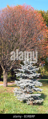 Colourful autumn park in a Lviv Sity (Ukraine). Four shots composite ...