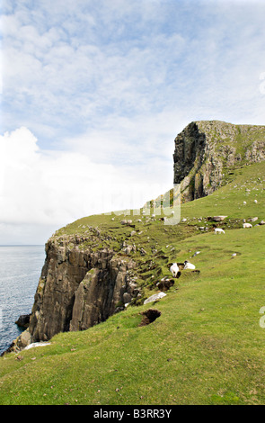 Neist point near Glendale Isle of Skye Scotland Stock Photo - Alamy