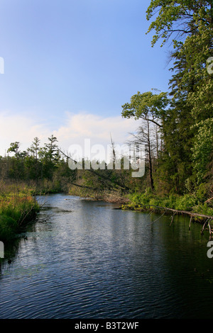 Whitefish River Upper Peninsula in Michigan MI USA US beautiful wild ...