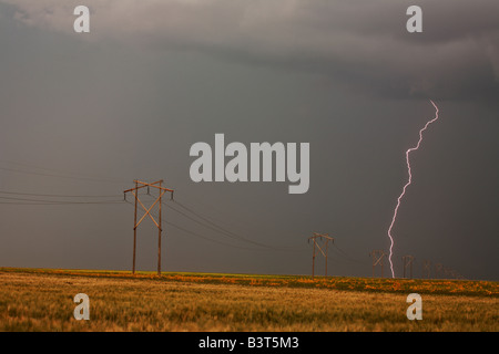 Lightning striking behind Saskatchewan power line Stock Photo - Alamy