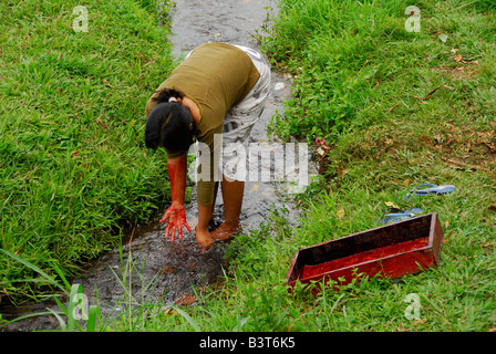 washing her hands of blood , female butcher after slaughtering water ...