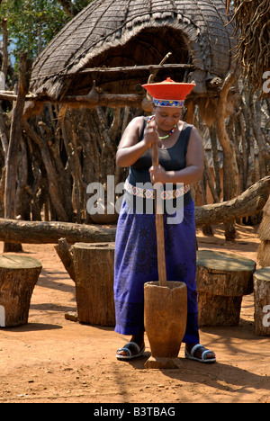 Zulu Woman Making Beer, Shakaland Zulu Village, Nkwalini Valley ...