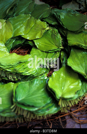 Asia, India, Hyderabad. Sale of pan leaves Stock Photo - Alamy