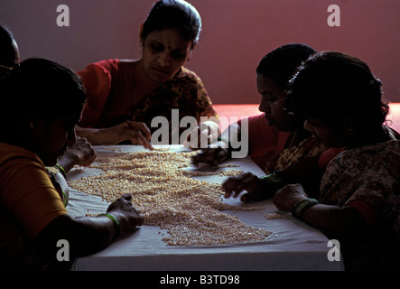 Asia, India, Hyderabad. Sorting pearls Stock Photo - Alamy