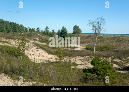 Lake Michigan shoreline dunes Point Beach State Forest Wisconsin Stock ...
