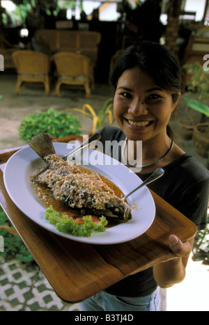 Thailand, Koh Samui (Samui Island), local fishing boats Stock Photo - Alamy